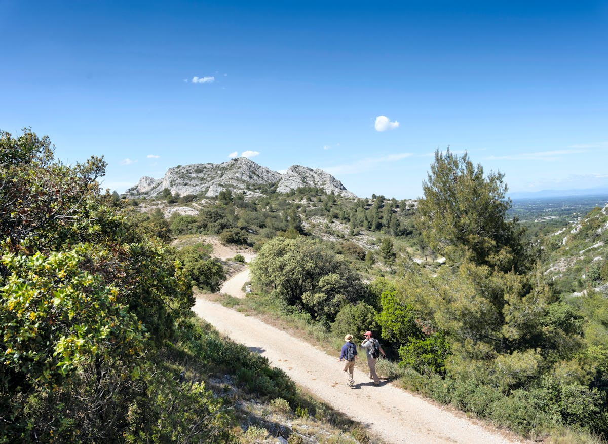 Quelles randonnées faire dans les Alpilles ? | Détours en France