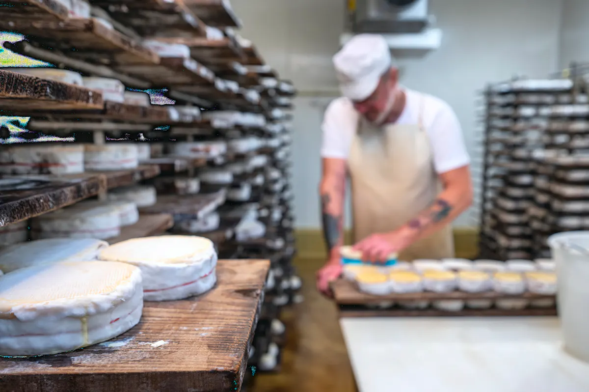 Visite d'une fromagerie artisanale de mont d'or dans le Doubs | Détours ...
